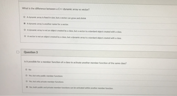 Solved What Is The Difference Between A C Dynamic Array Vs