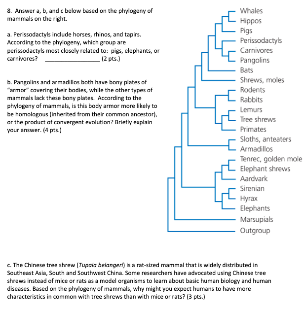 Solved 8. Answer a,b, and c below based on the phylogeny of | Chegg.com