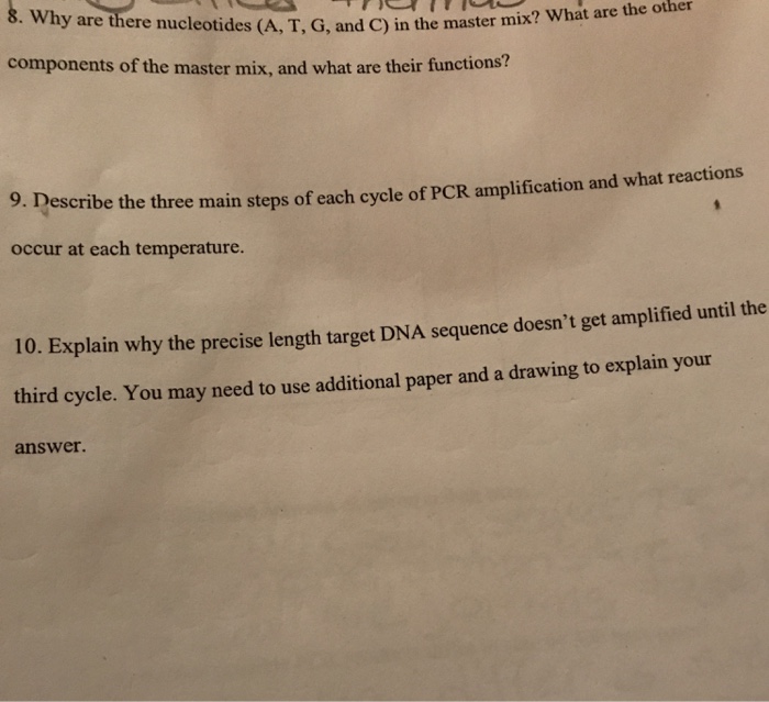 Solved Why Are There Nucleotides A T G And C In The Chegg