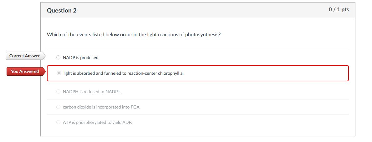Solved This is incorrectly labeled, correct? The answer | Chegg.com