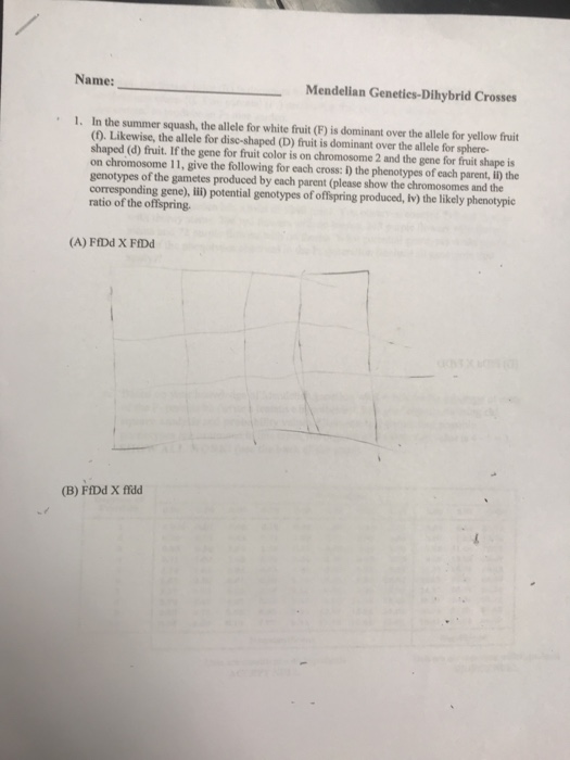 Solved Write the function whose graph is the graph of y lxl, | Chegg.com