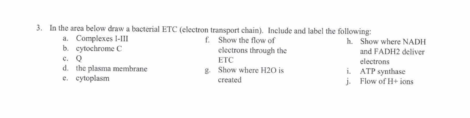 Solved 3. In the area below draw a bacterial ETC (electron | Chegg.com