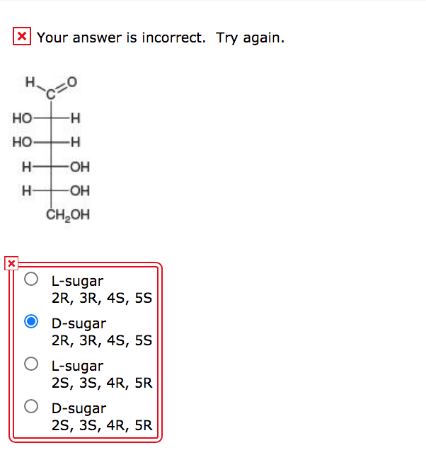 Solved X Your answer is incorrect. Try again. HO -H HO H -H | Chegg.com