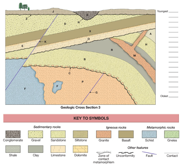 Solved Examine the Geologic Cross Sections and review the | Chegg.com
