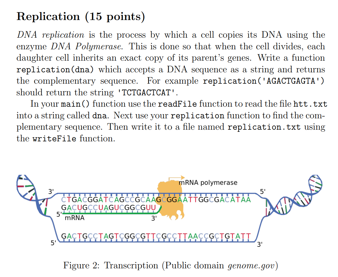 Solved Replication (15 points) DNA replication is the | Chegg.com