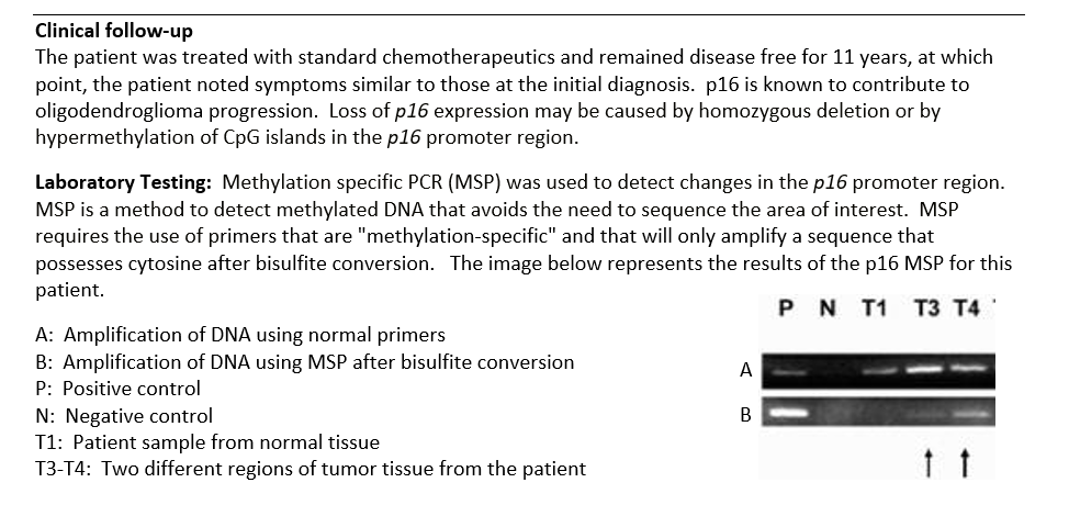 Solved Clinical Background: A 40-year-old male patient | Chegg.com