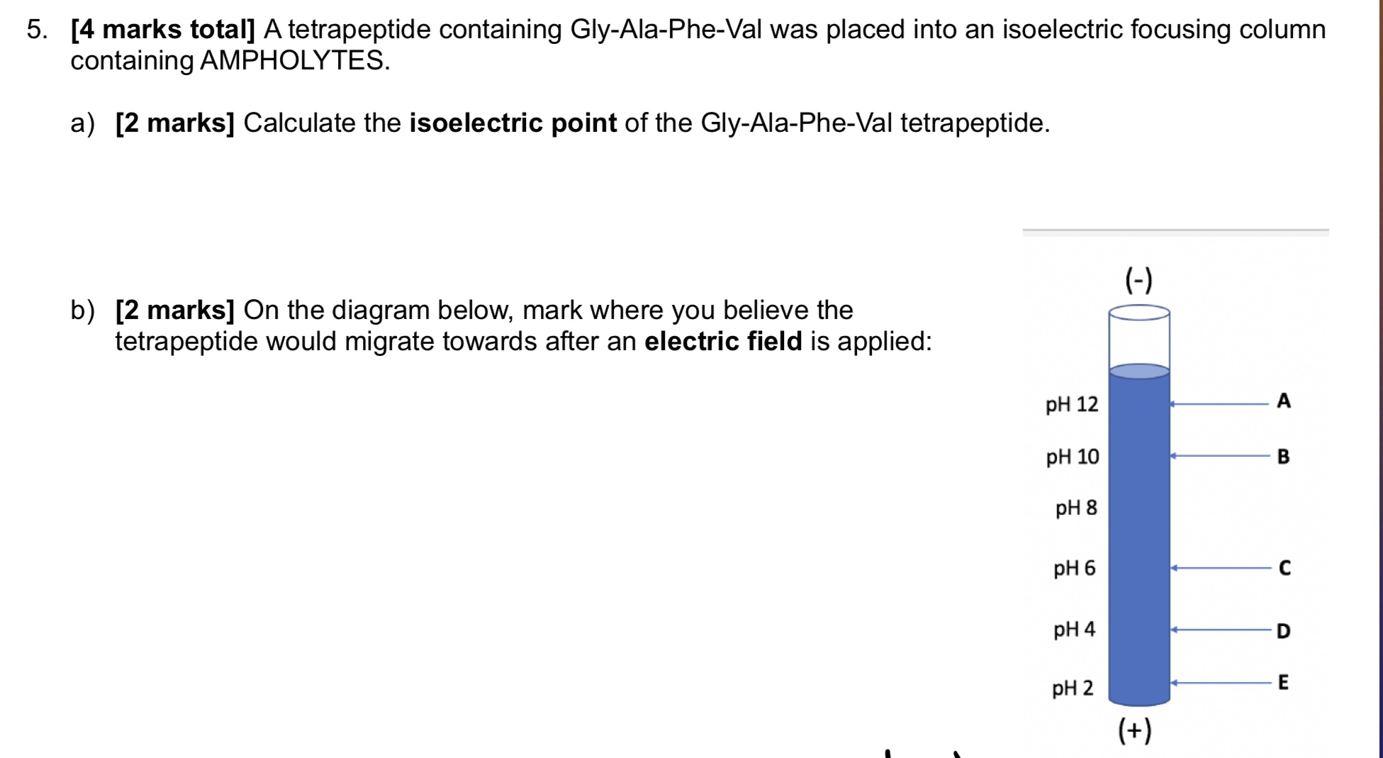 Solved 5. [4 marks total] A tetrapeptide containing | Chegg.com