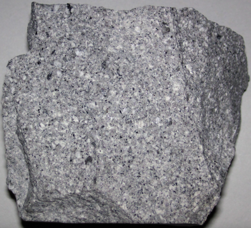 Solved The following photographs represent a selection of | Chegg.com