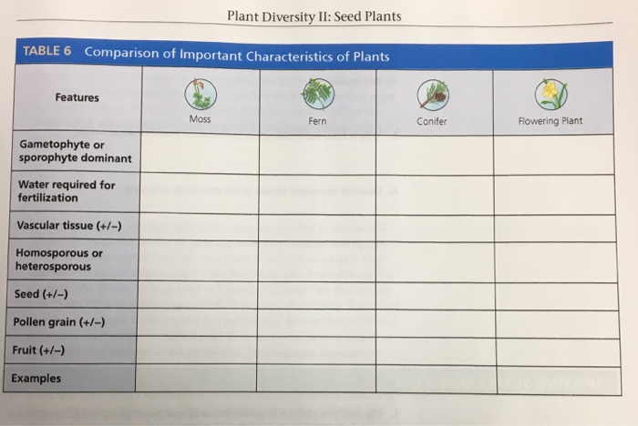 Solved Complete Table 6. Compare mosses, ferns, conifers, | Chegg.com