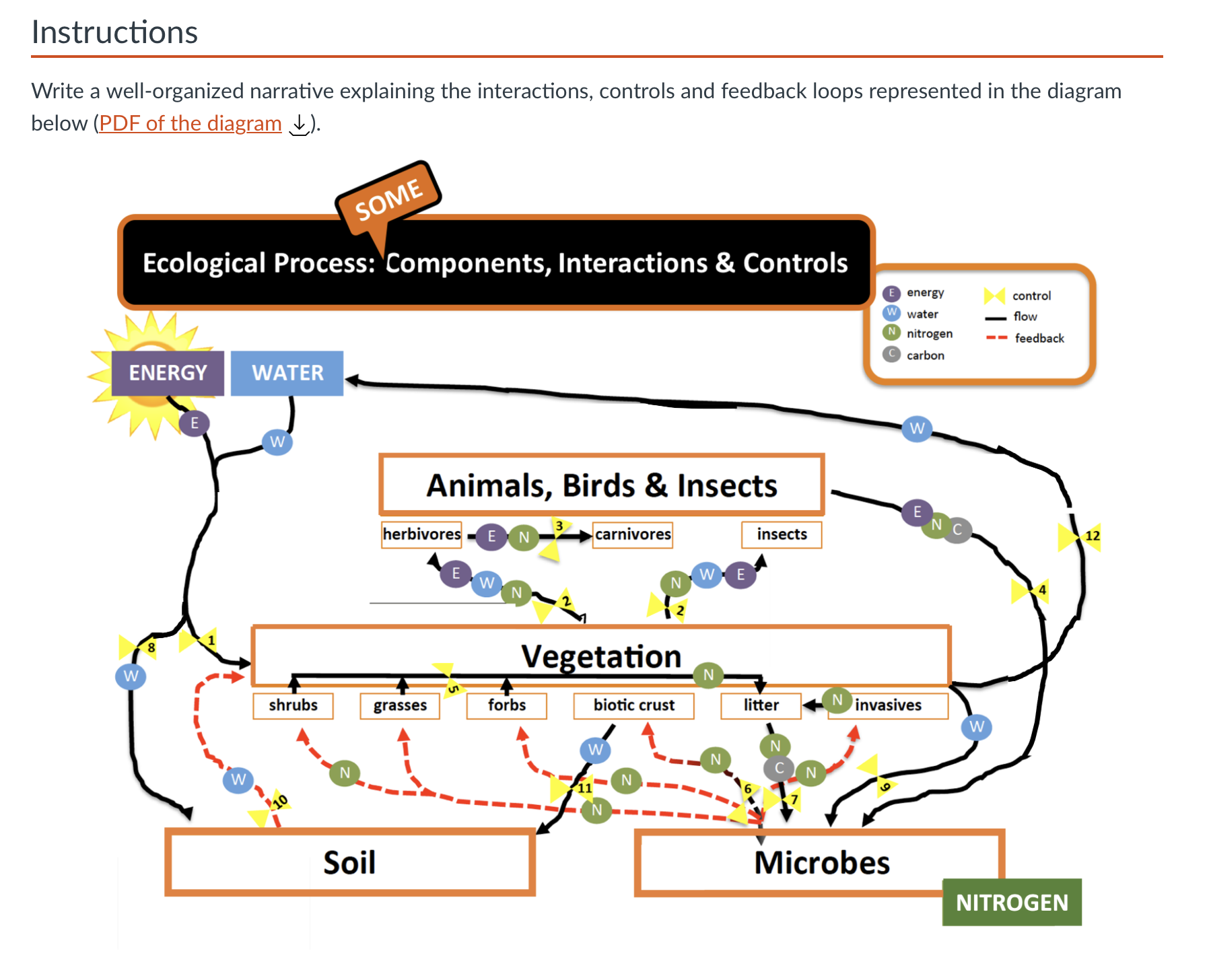 Solved Purpose Systems thinking underpins the understanding | Chegg.com