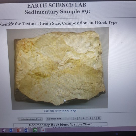 Solved EARTH SCIENCE LAB Sedimentary Sample #7: Identify the | Chegg.com
