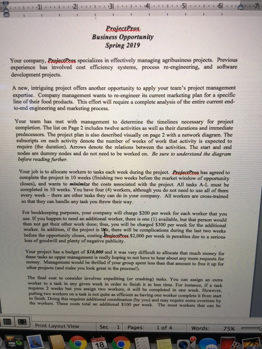 Projecteros Business Opportunity Spring 2019 Your | Chegg.com