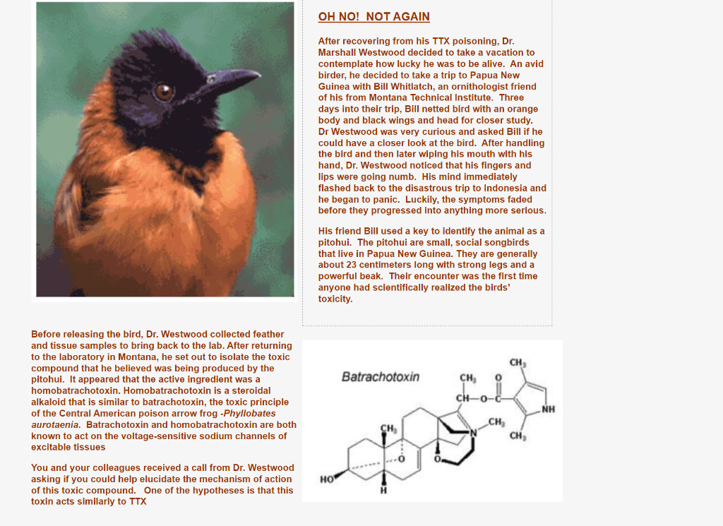 Solved In your first experiment, you generated action | Chegg.com