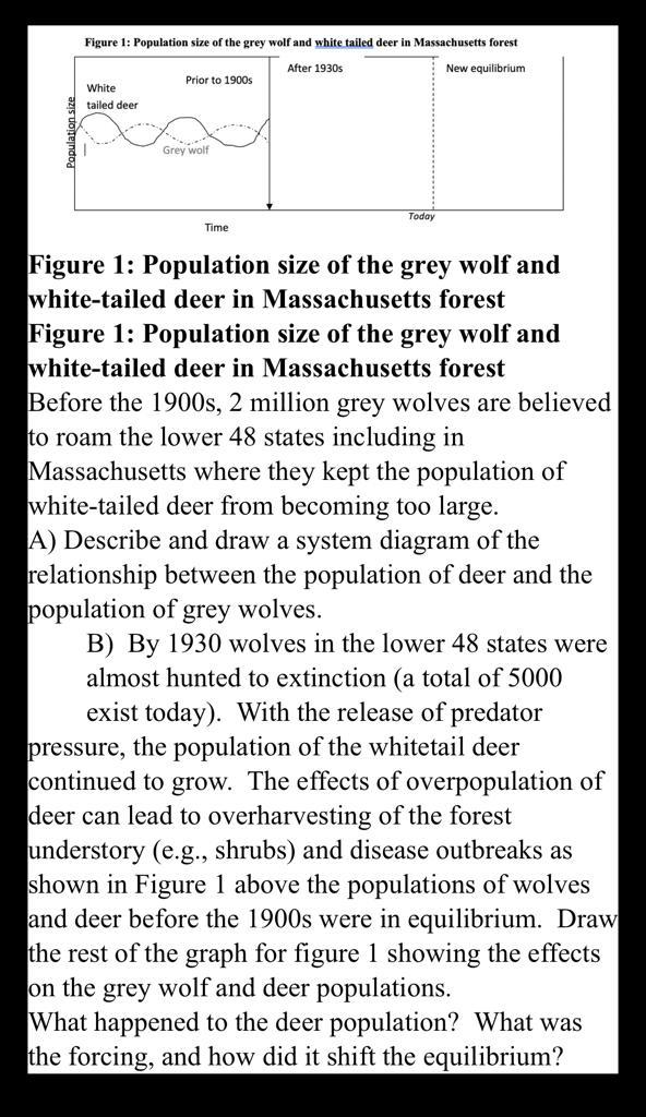 Solved Figure 1: Population size of the grey wolf and white | Chegg.com