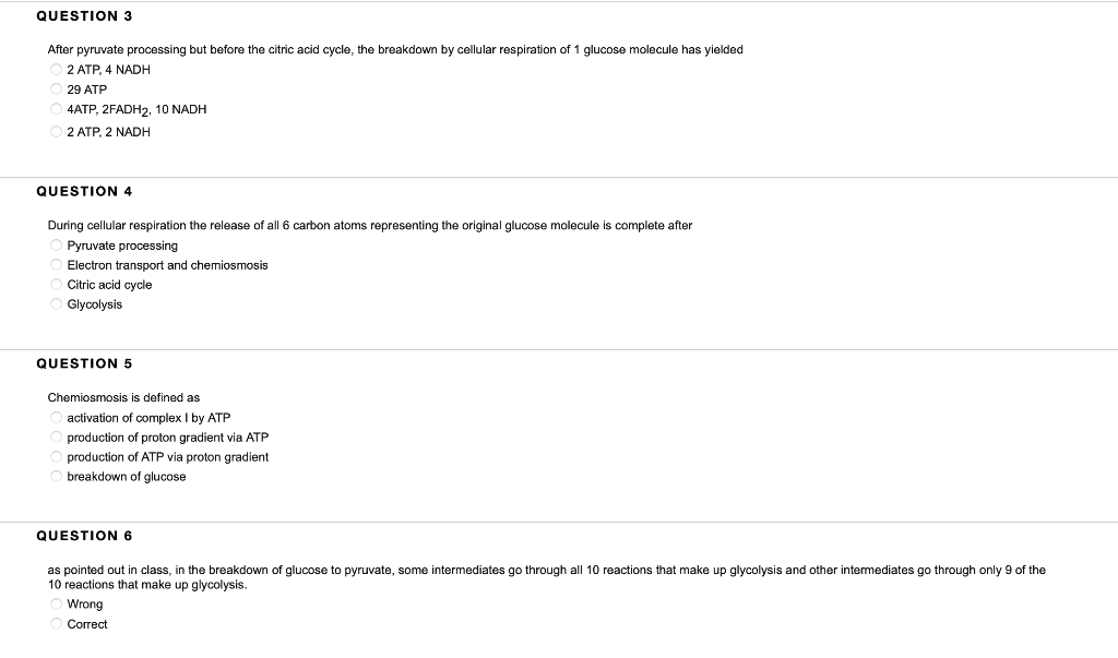 Solved QUESTION 3 After pyruvate processing but before the | Chegg.com