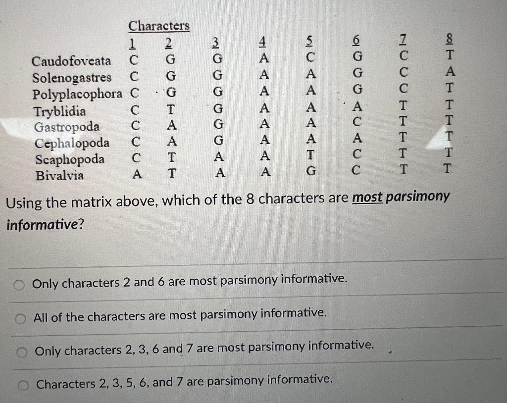 Solved Using The Matrix Above Which Of The 8 Characters Are 