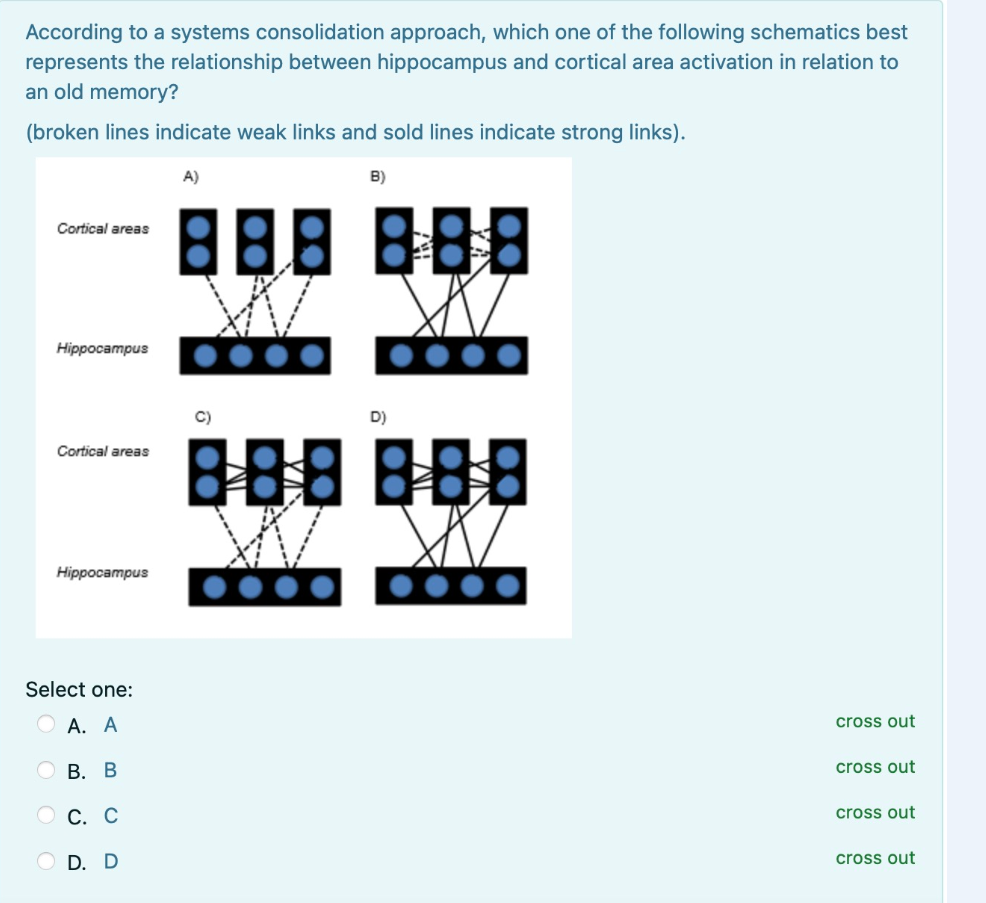 Solved According to a systems consolidation approach, which | Chegg.com