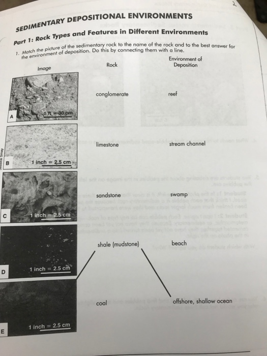 Solved TARY DEPOSITIONAL ENVIRONMENTS SEDIMENTARY 1: Rock | Chegg.com