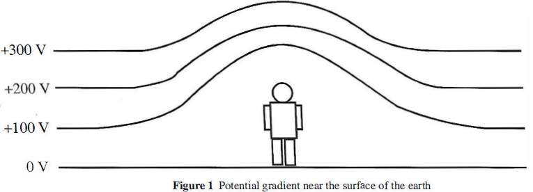 Solved +300 V +200 V +100 V 0 V Figure 1 Potential gradient | Chegg.com