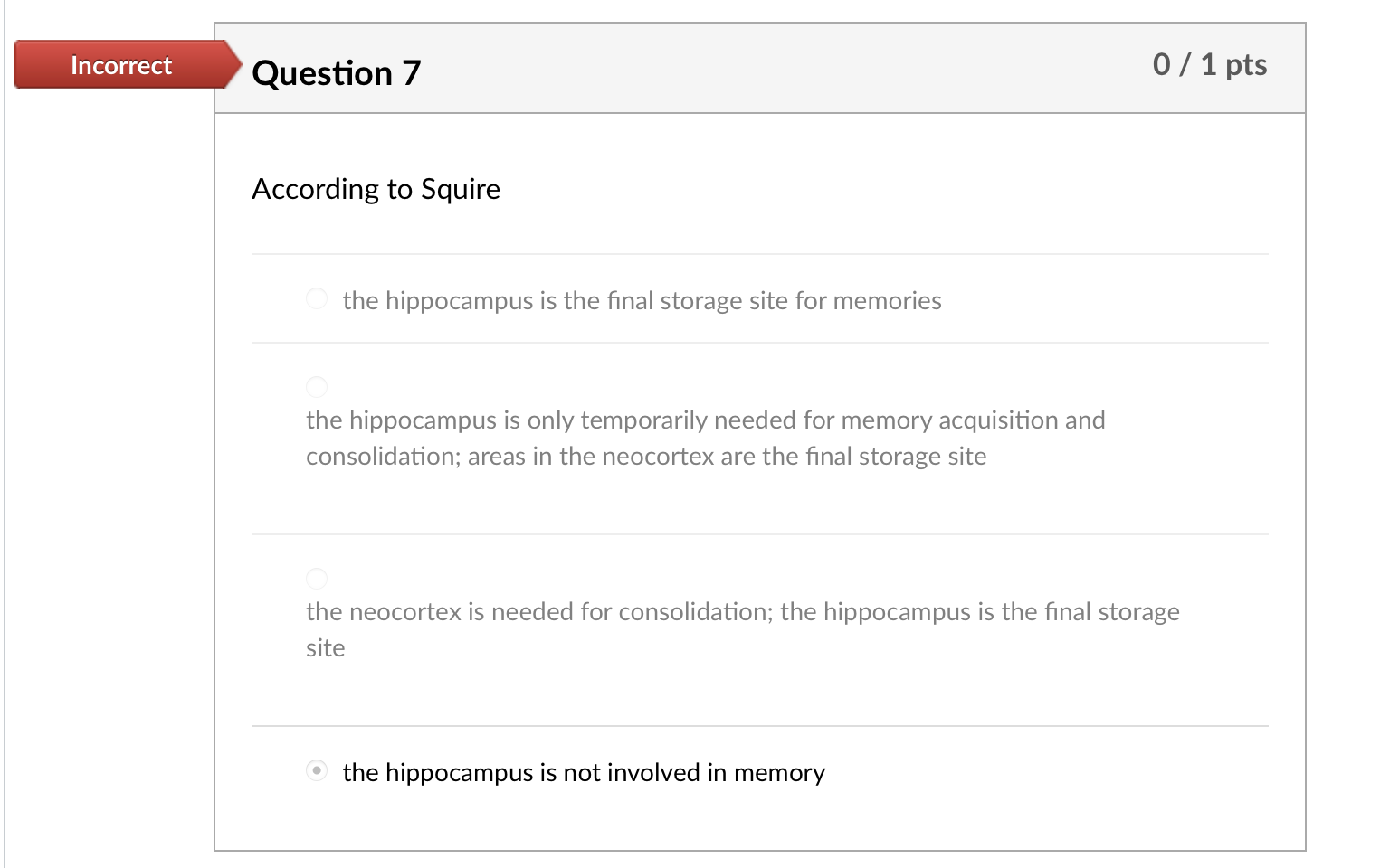 Solved According to Squire the hippocampus is the final | Chegg.com