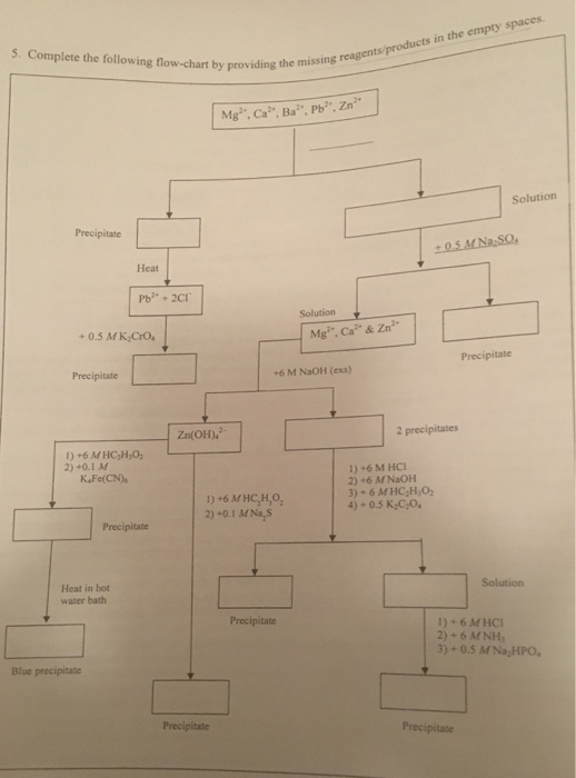 Solved 5. Complete the following flow-chart by providing the | Chegg.com