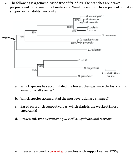 Solved 2. The following is a genome-based tree of fruit | Chegg.com
