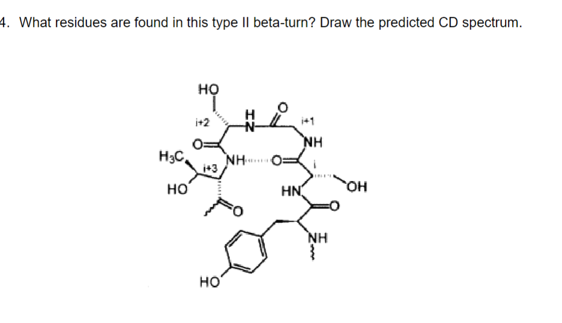Solved What residues are found in this type II beta-turn? | Chegg.com