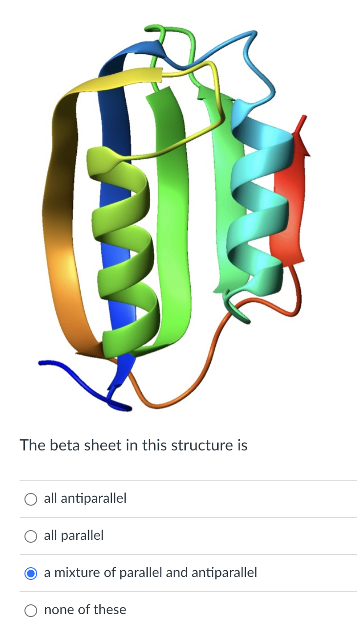 Solved The beta sheet in this structure is all antiparallel | Chegg.com