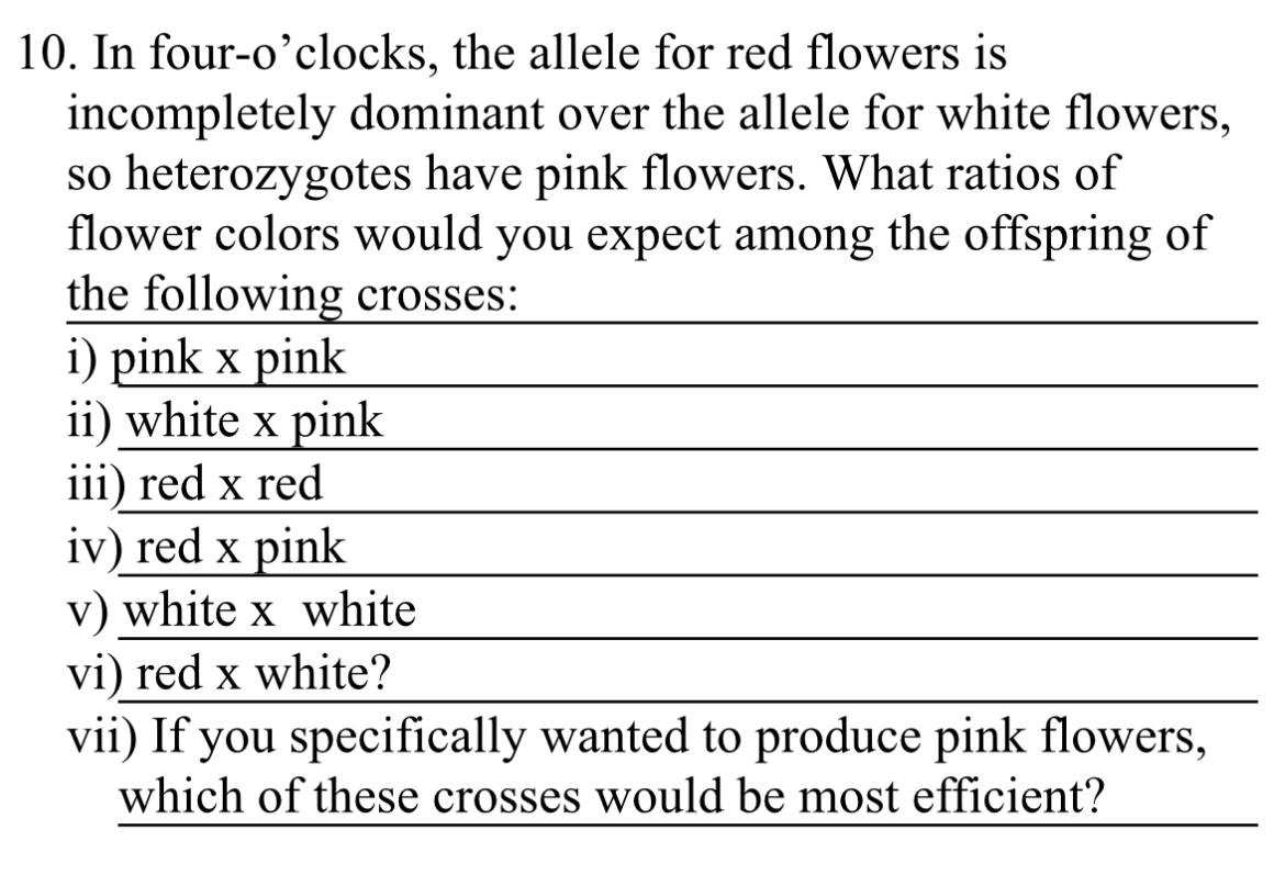 Solved 10. In four-o'clocks, the allele for red flowers is | Chegg.com