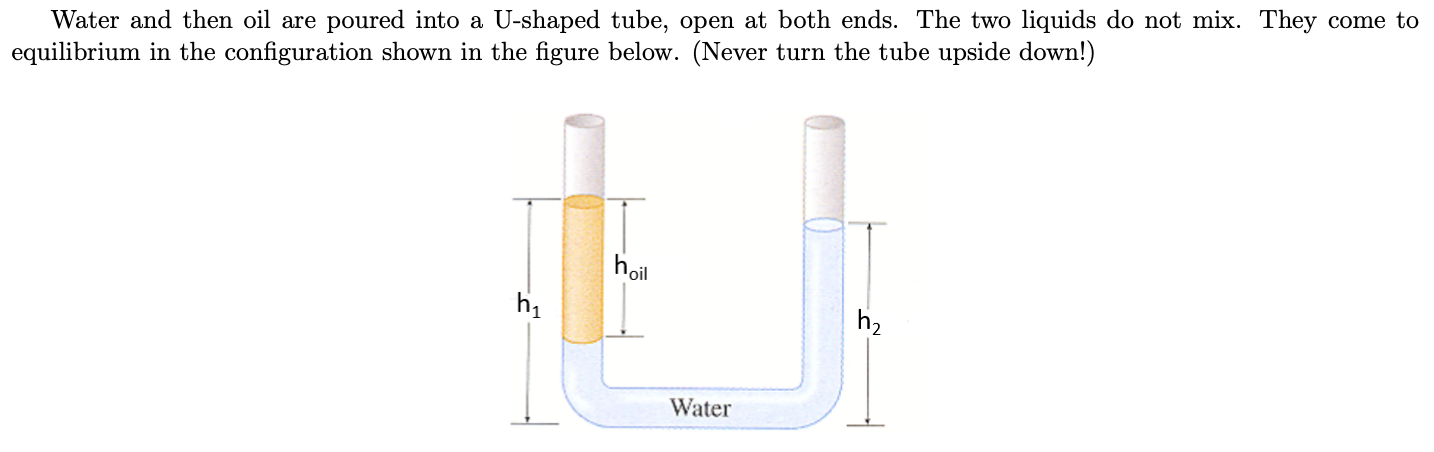 Solved Water and then oil are poured into a U-shaped tube, | Chegg.com