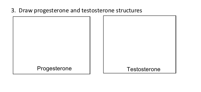 Solved 3. Draw progesterone and testosterone structures | Chegg.com