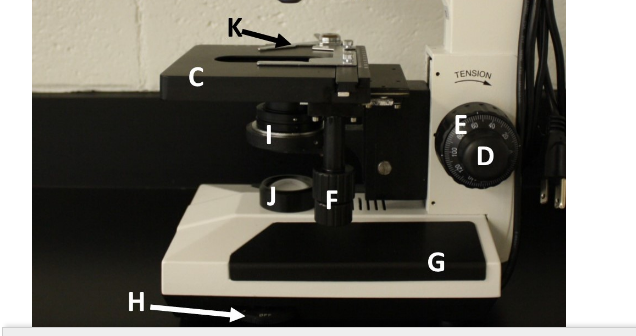 Solved InlQUESTION 10 Identify D. A MGIdontifi, ΔIdentify | Chegg.com Solved InlQUESTION 10 Identify D. A MGIdontifi, ΔIdentify | Chegg.com