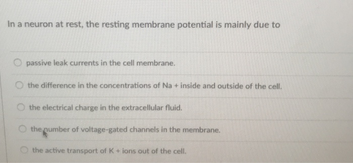 Solved In a neuron at rest, the resting membrane potential | Chegg.com