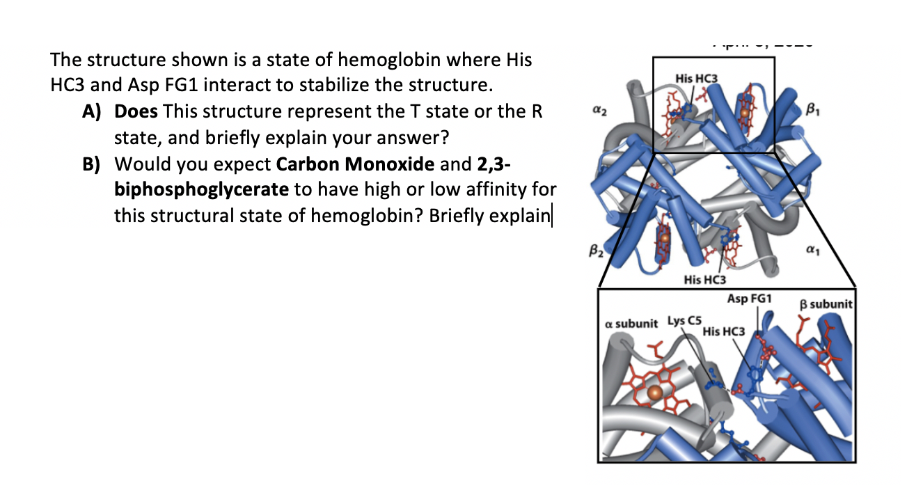 Solved . .. - - - - - His HC3 The structure shown is a state | Chegg.com