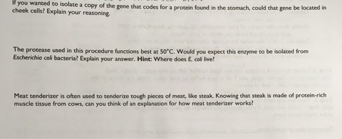 Solved If you to isolate of chelk wanted calsk xakte a copy | Chegg.com