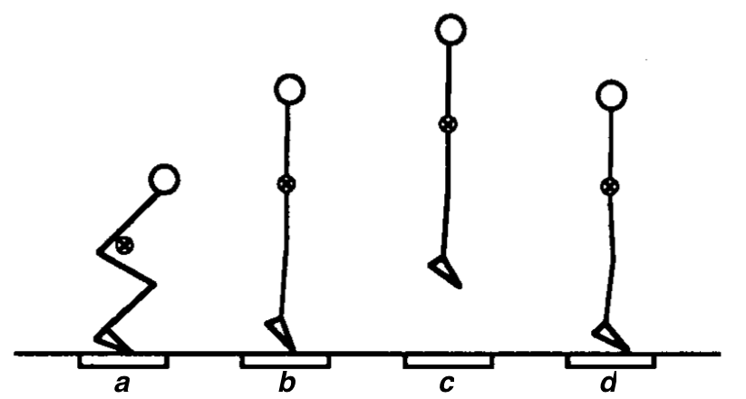 Solved This problem is about the analysis of the standing | Chegg.com