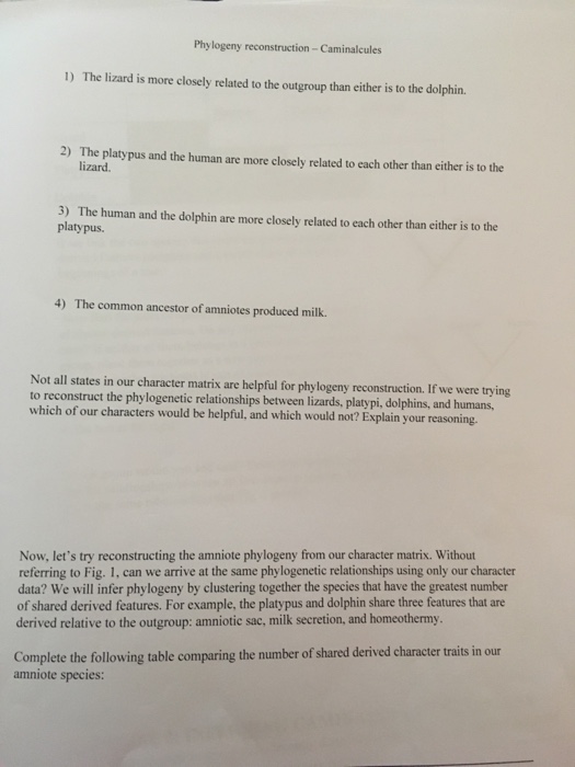 Solved Phylogeny reconstruction- Caminalcules 1) The lizard | Chegg.com