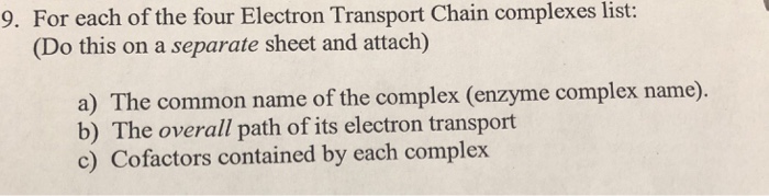Solved Name the four electron transport complexes of the | Chegg.com
