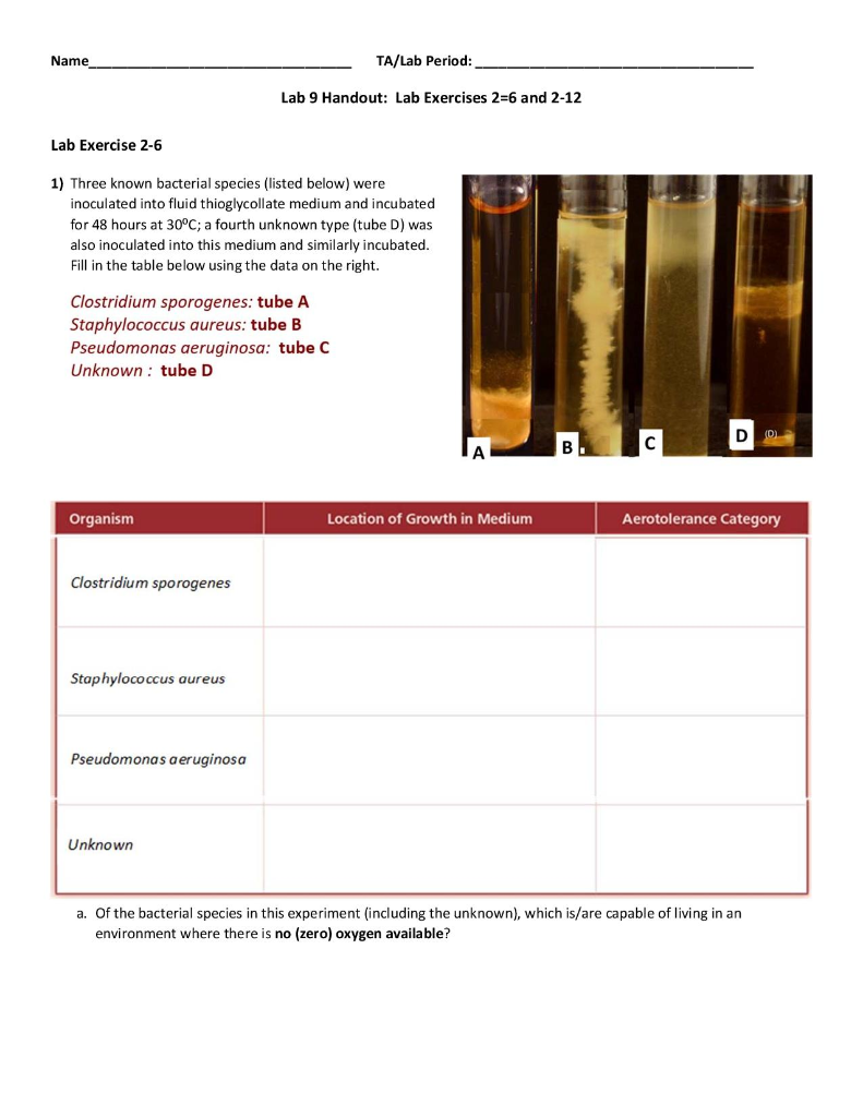Solved Name TA/Lab Period: Lab 9 Handout: Lab Exercises 2=6 | Chegg.com