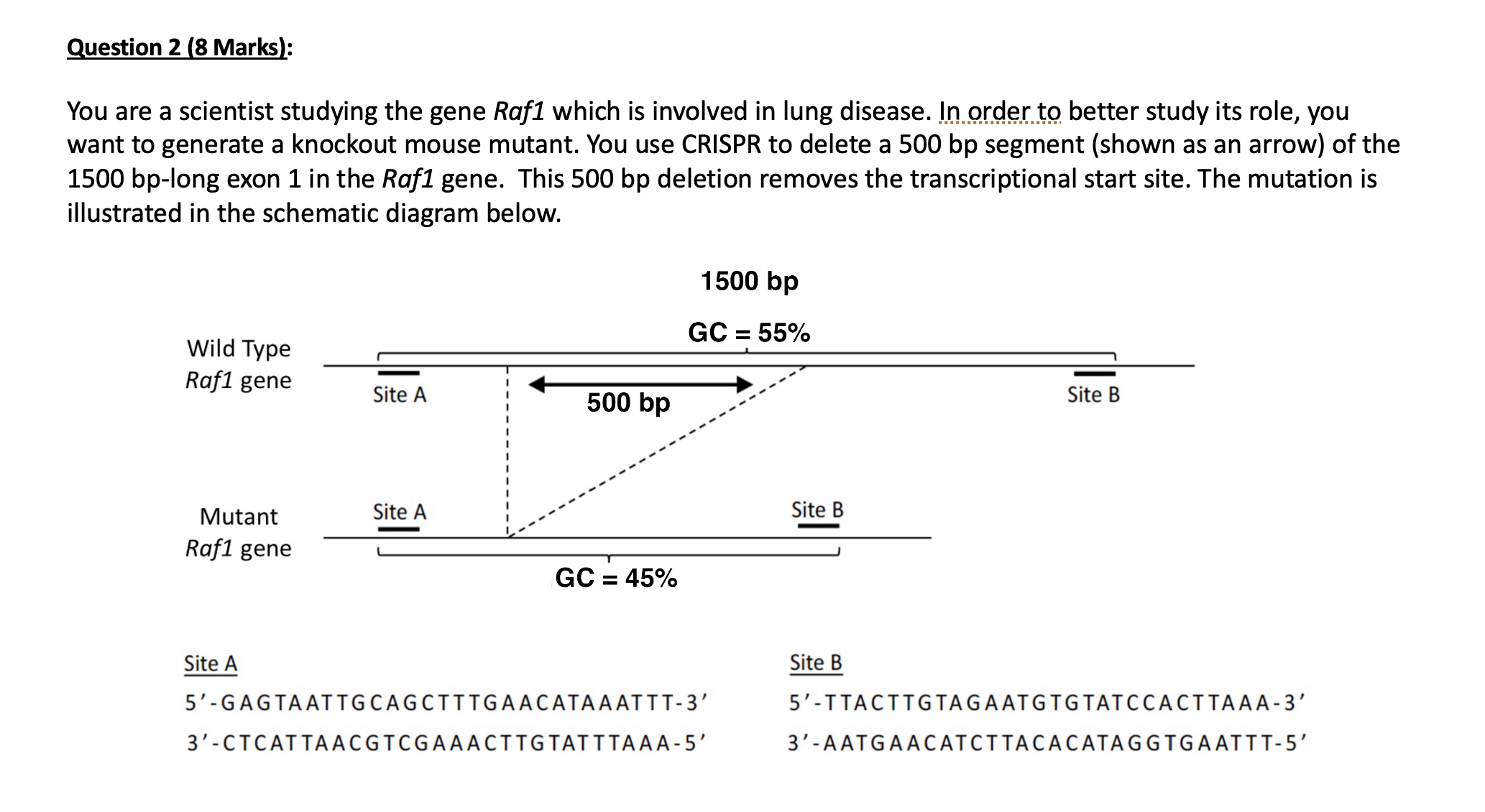 Solved Question 2 (8 ﻿Marks):You are a scientist studying | Chegg.com