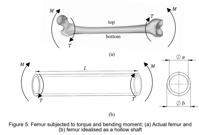 Solved M M T top bottom т (a) Фа M L M T T ФЬ (b) Figure 5: | Chegg.com