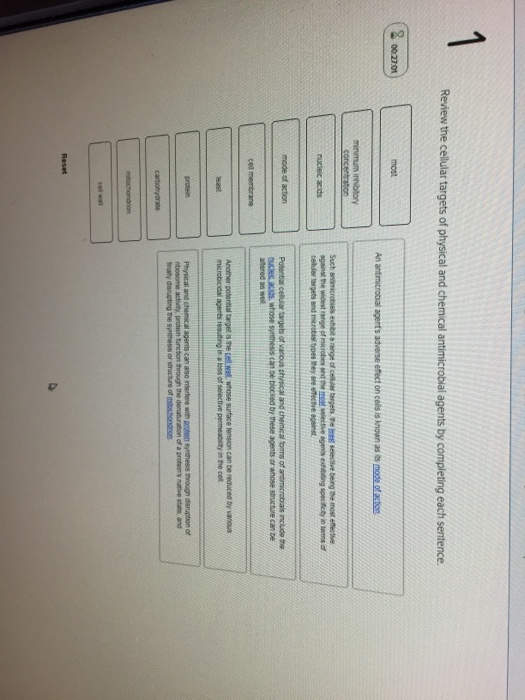 Solved Review the cellular targets of physical and chemical | Chegg.com