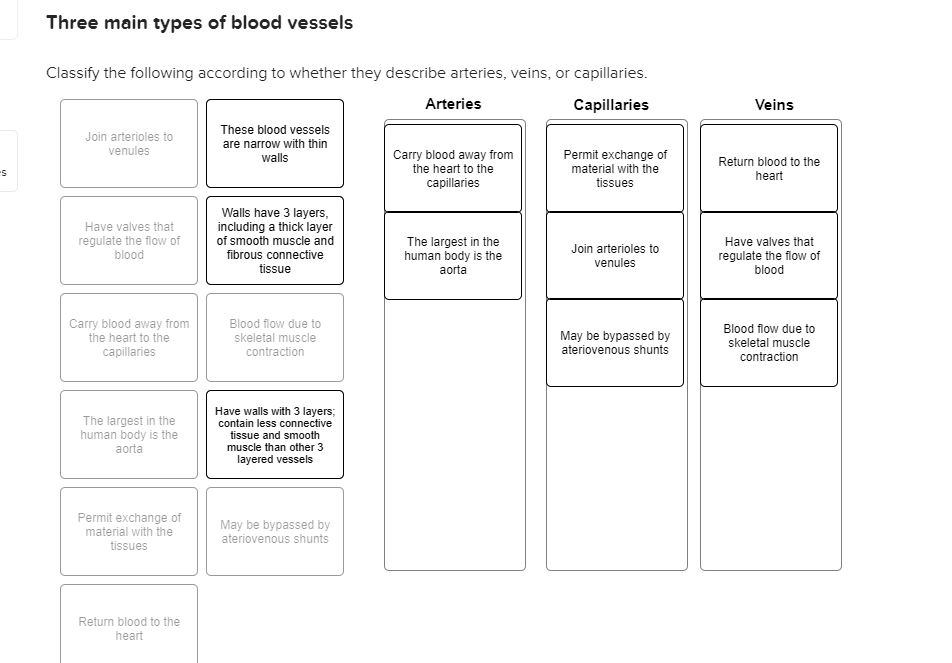 Solved Three main types of blood vessels Veins Classify the | Chegg.com