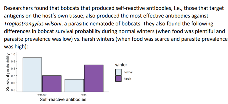 Solved Based on the above bobcat example and what you know | Chegg.com