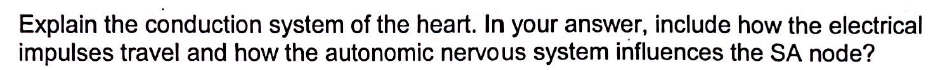 Solved Explain the conduction system of the heart. In your | Chegg.com