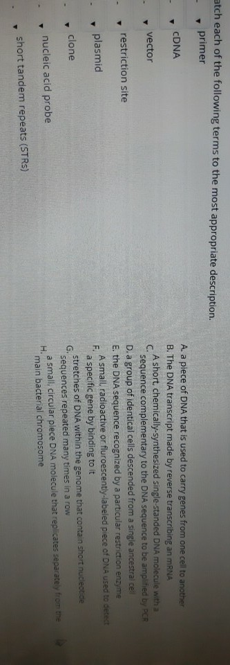 Solved atch each of the following terms to the most | Chegg.com