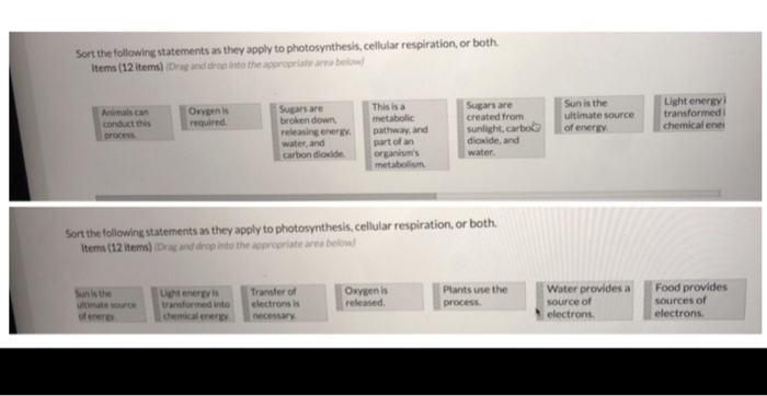 Solved Sort the following statements as they apply to | Chegg.com