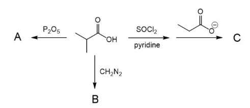 Solved SOCl2 pyridine CH2N2 | Chegg.com