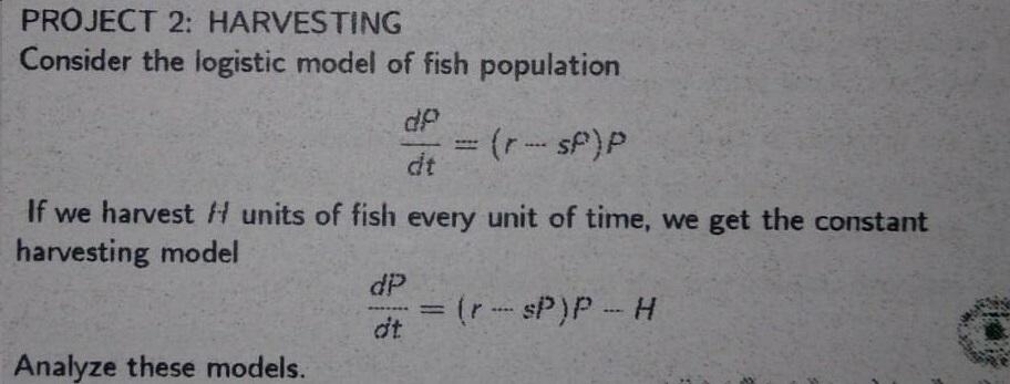 Solved MATHEMATICAL MODELLING LESSON read the instructions | Chegg.com