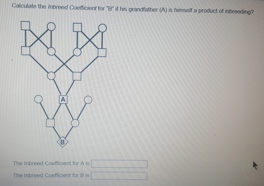 Solved Calculate the Inbreed Coefficient for "B" if his | Chegg.com